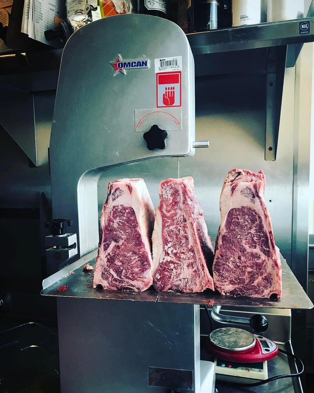 Gallery — Red Ash Italia