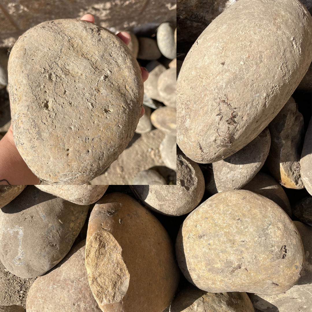 Rock & DG — Willow Gardens Nursery