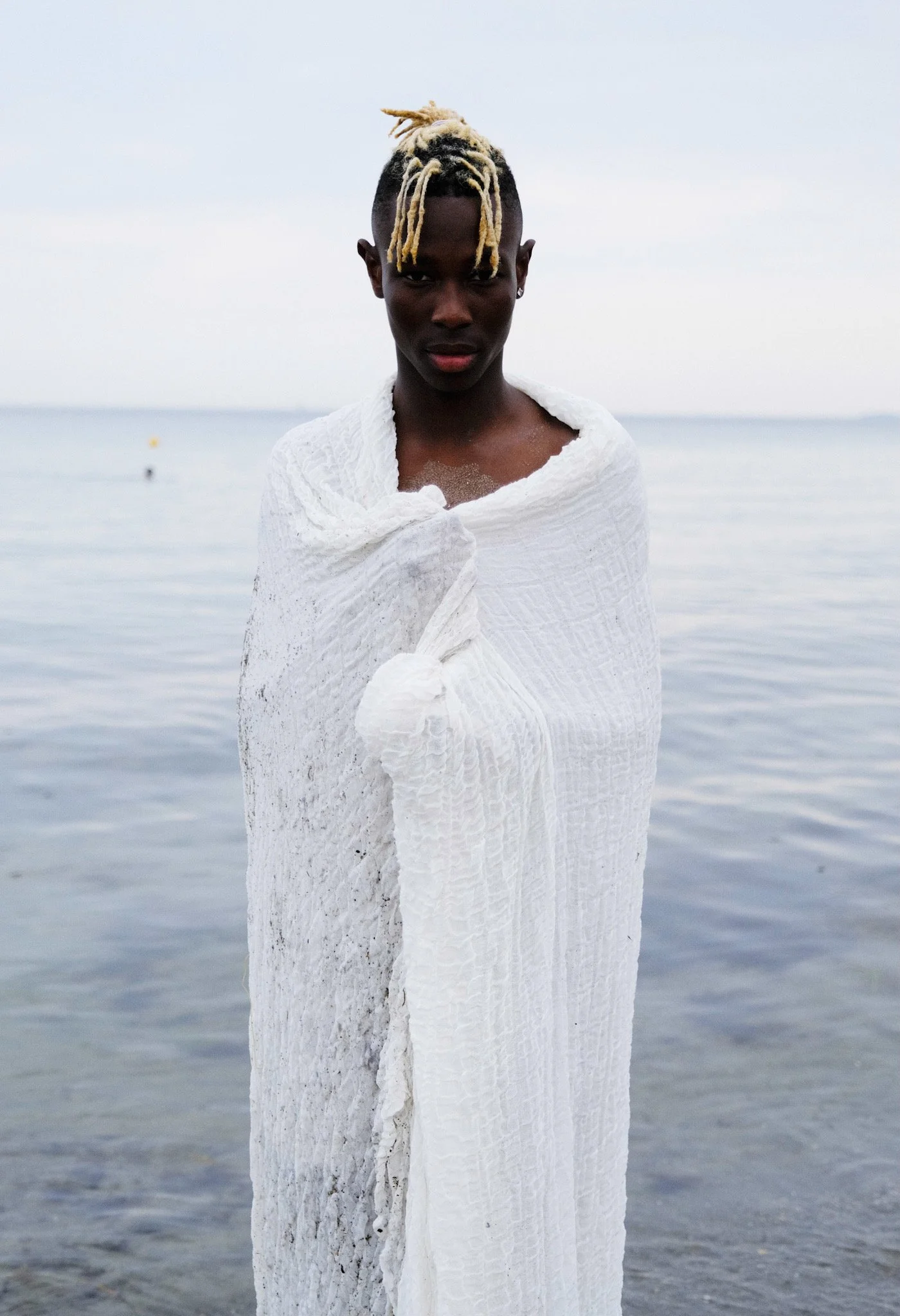 GABRIEL PAGE — Gossip Models
