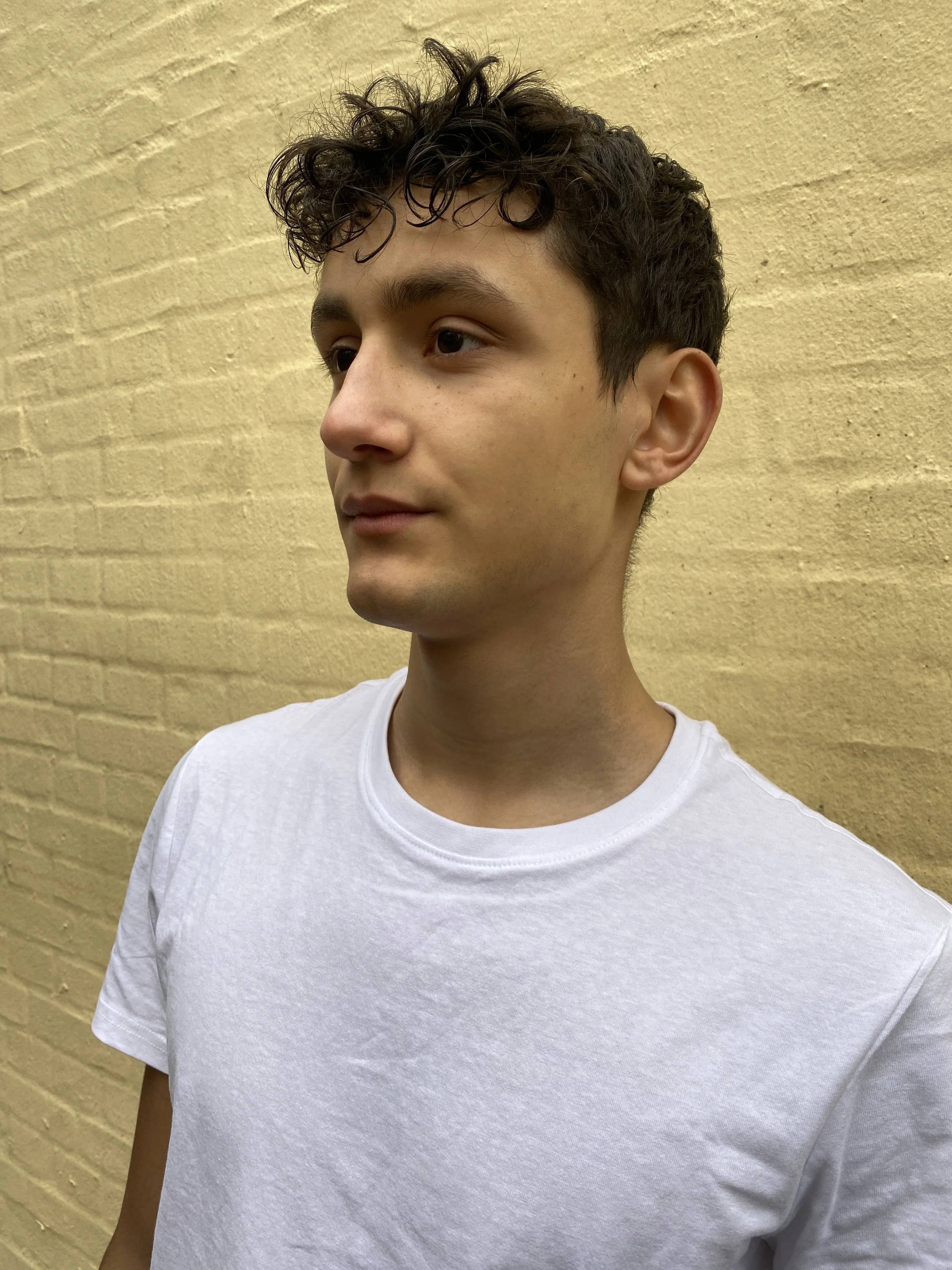 LUCAS PAGE — Gossip Models