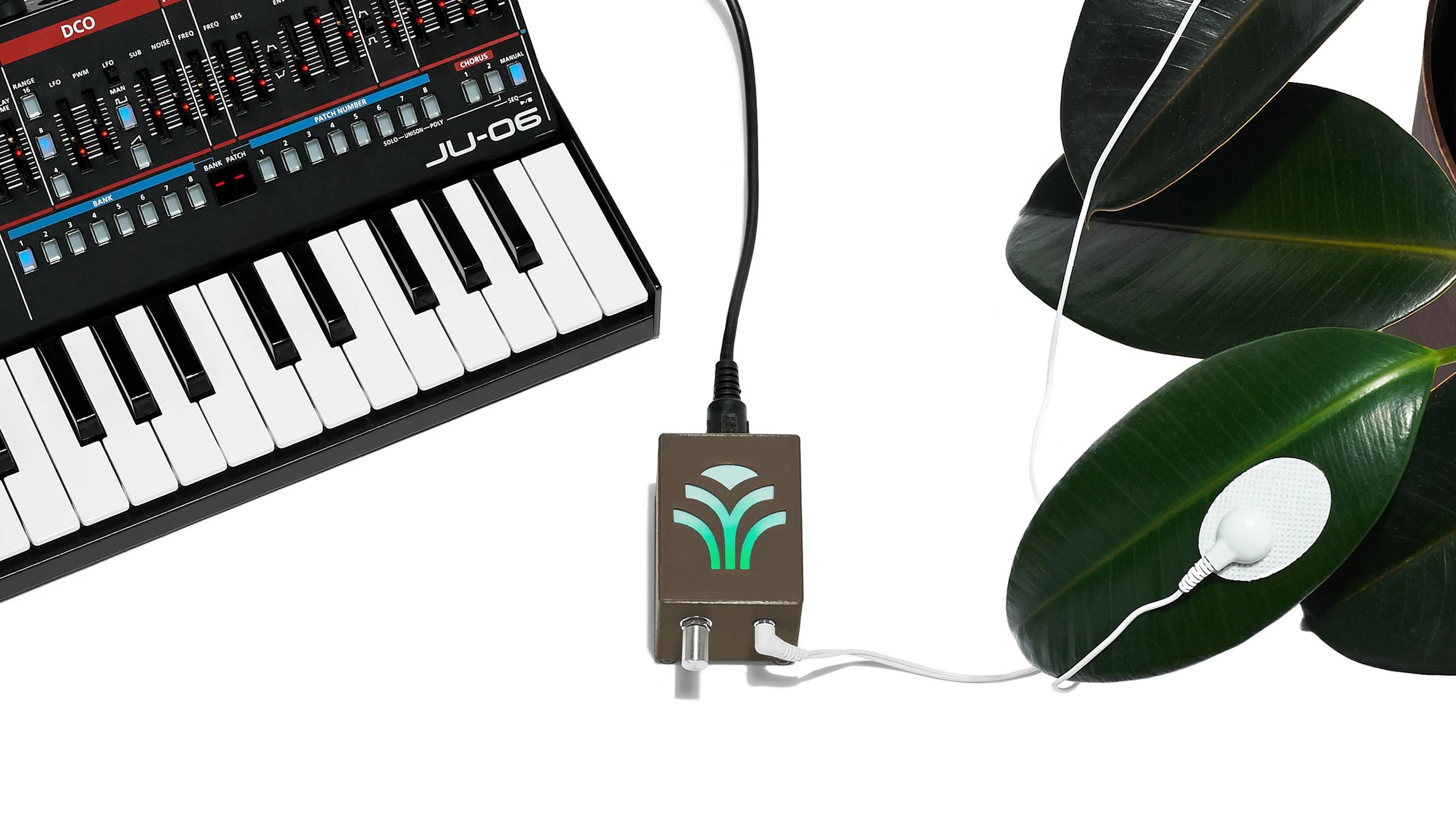 MIDI Sprout