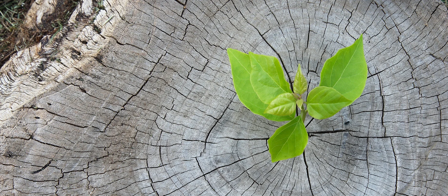 Careers — CDIM Engineering