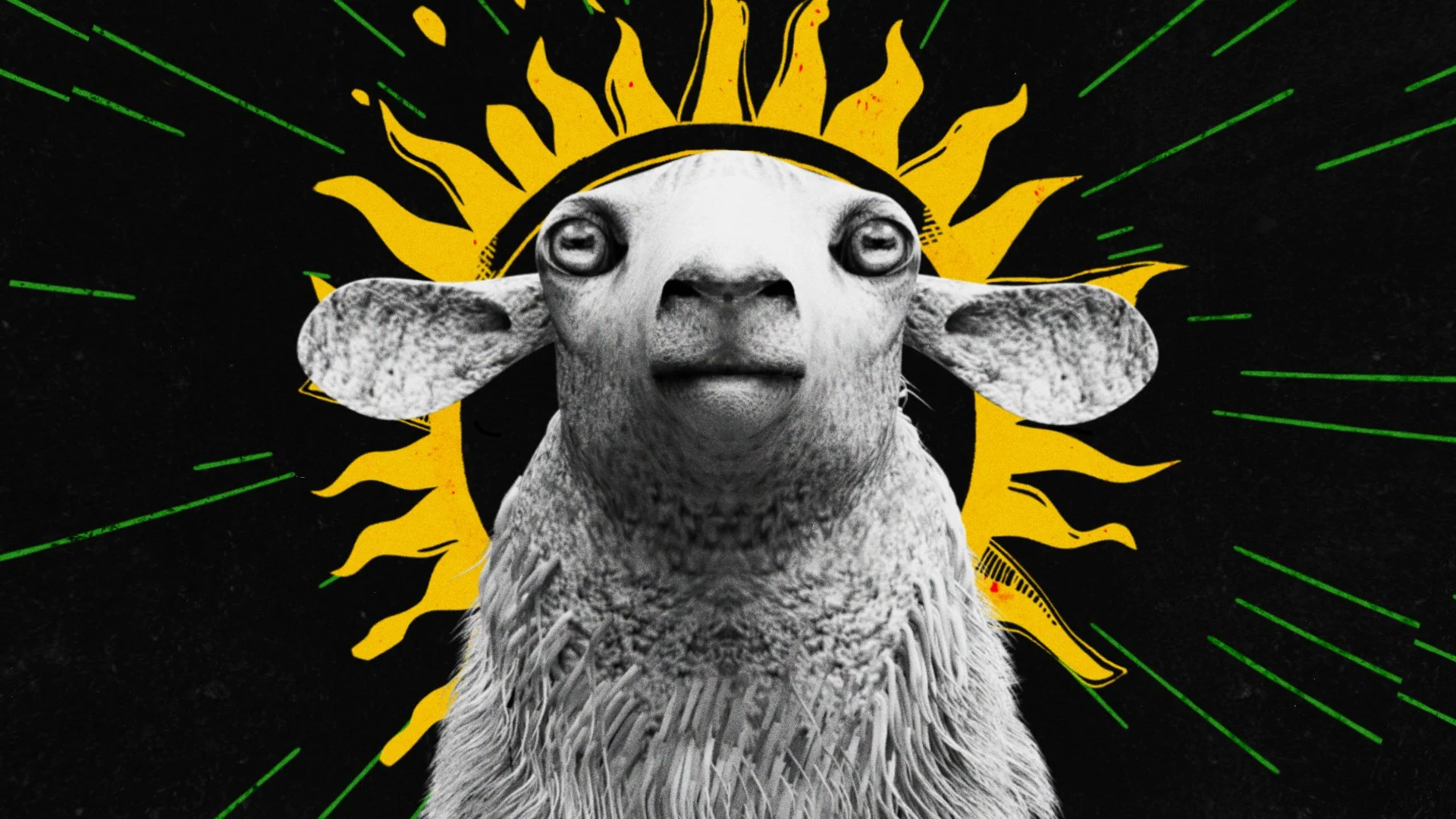 S15 — BLOCK & TACKLE