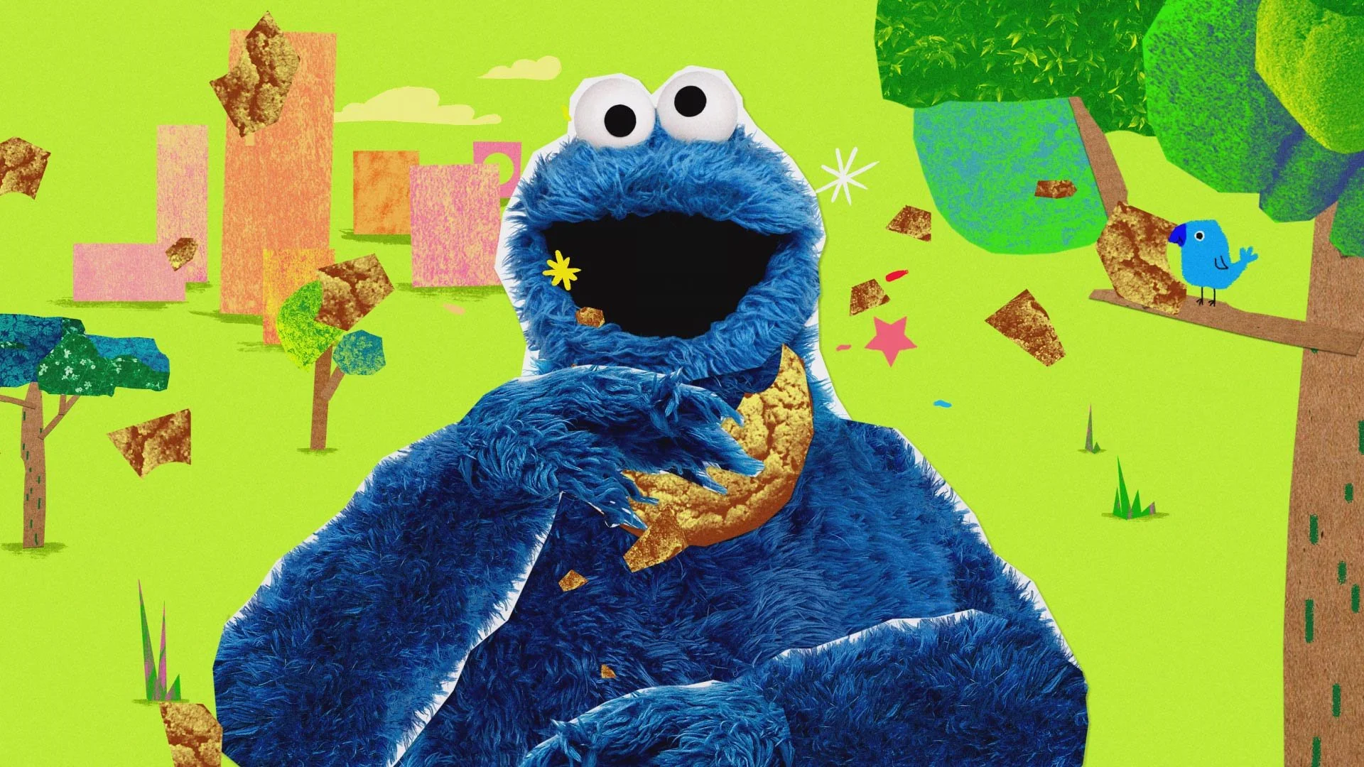 Sesame Street — BLOCK & TACKLE