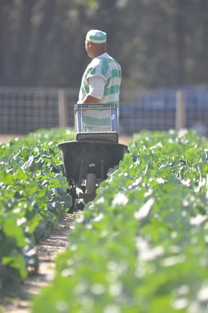 INMATE FOOD AND WORK FARM — Marion County Sheriff's Office
