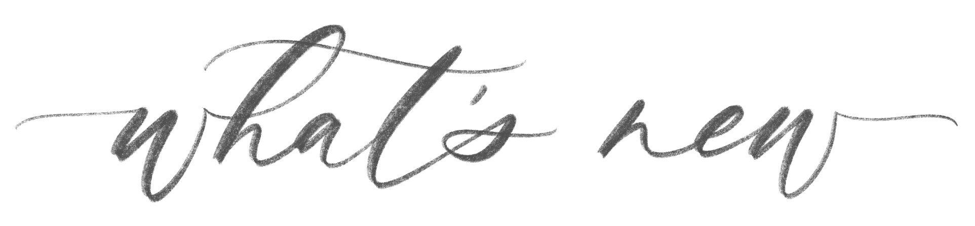 FAWN LETTERING - Calligraphy & Live Activations in Los Angeles