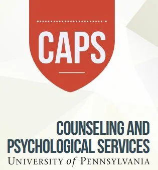 What We Do — GAPSA