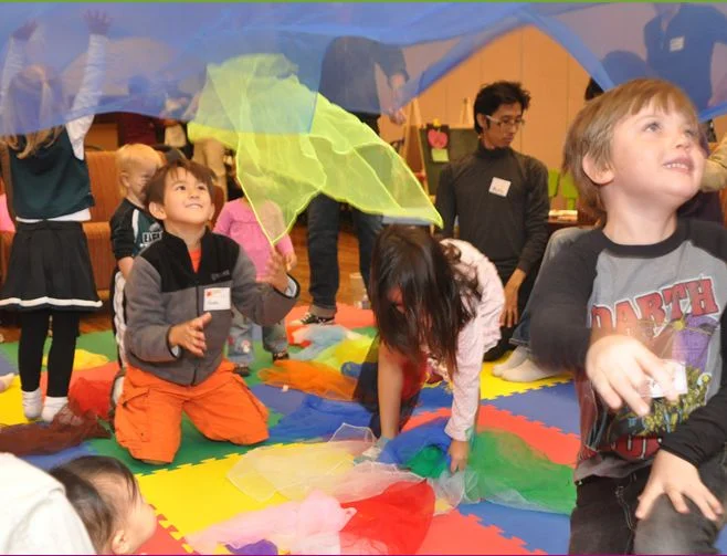 What We Do — GAPSA