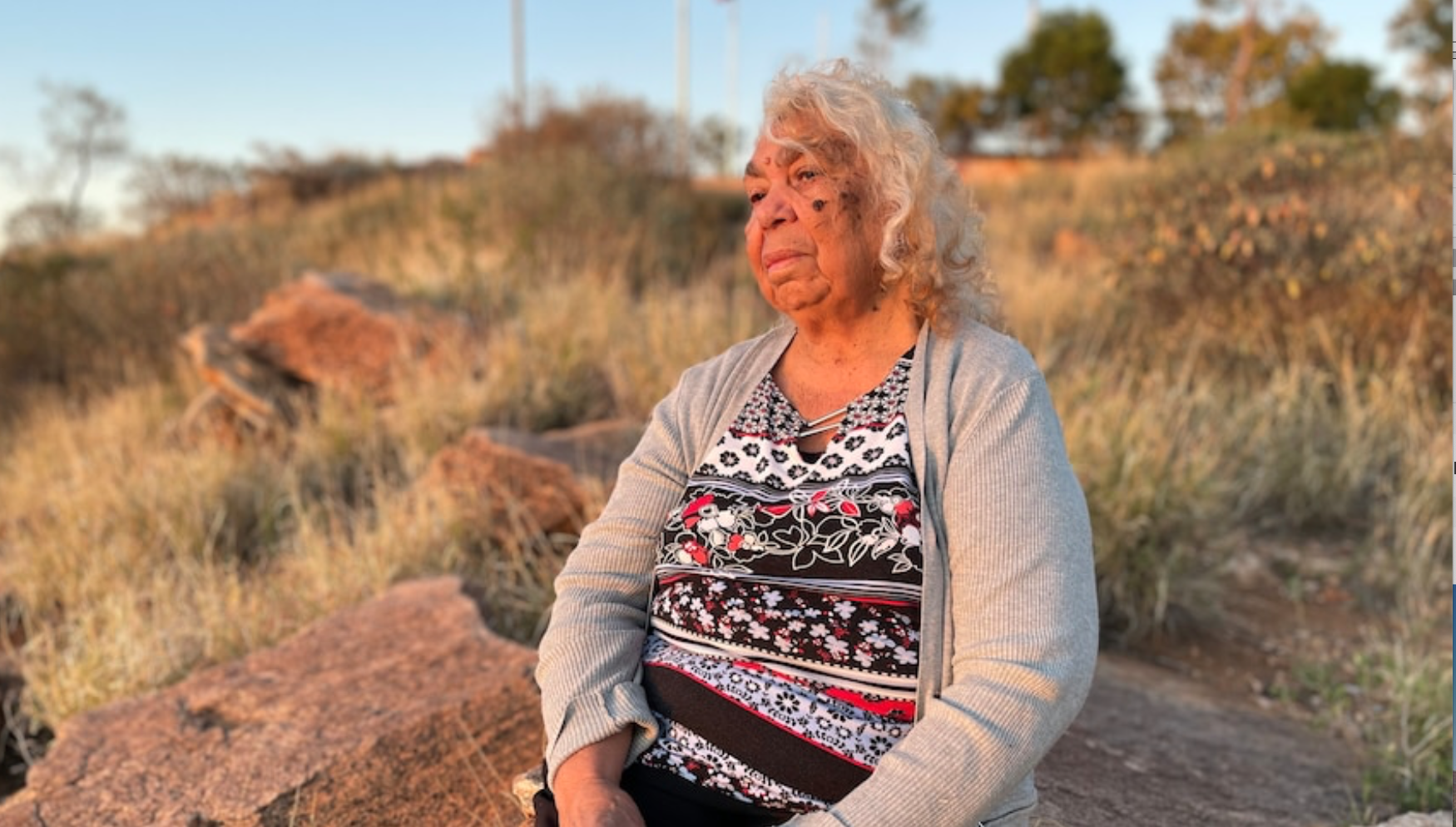 Building on a Sacred Site - National Aboriginal Art Gallery in Alice ...