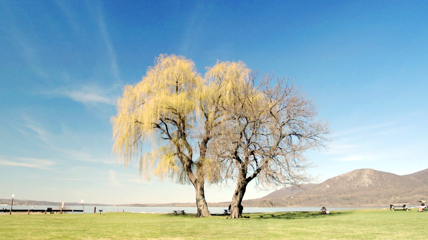 Beth Miranda Botshon