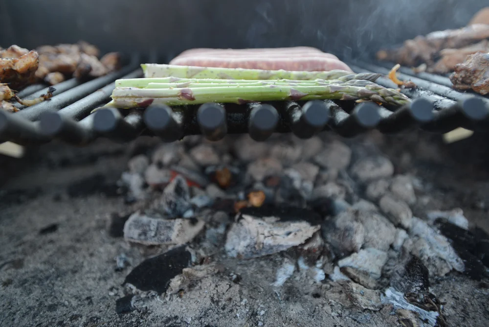 FixGrill – robust grill for parks and urban environments | Widala ...