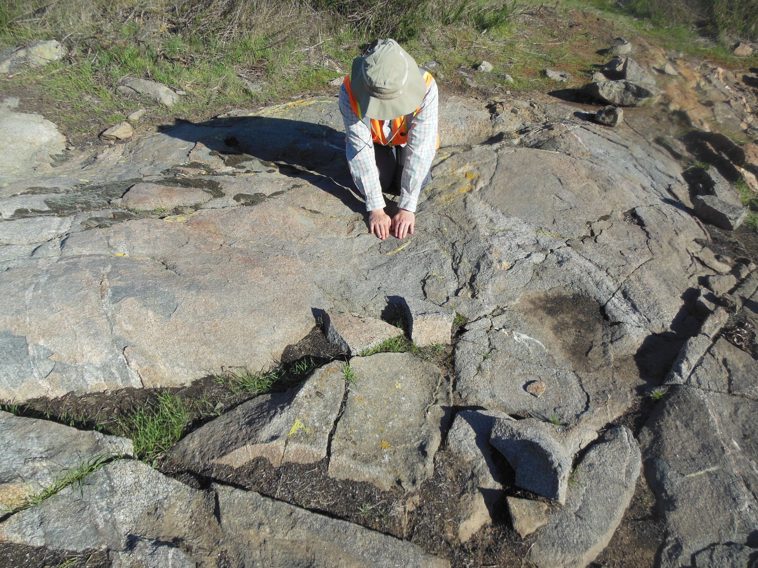 Paleontology Technician — Applied EarthWorks, Inc. - Cultural Resource ...