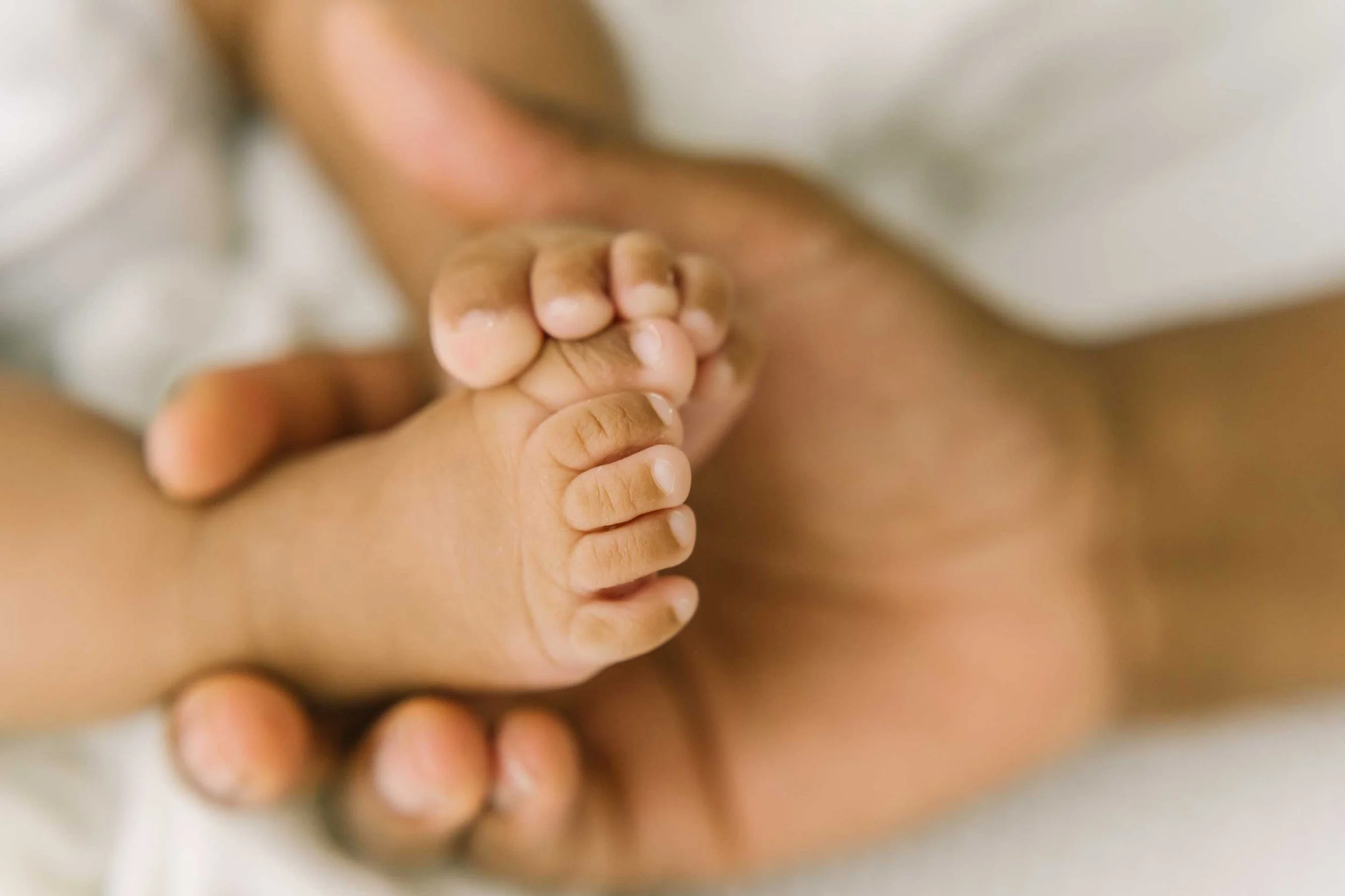 Behind the Scenes: A Day in the Life of a Newborn Photoshoot ...