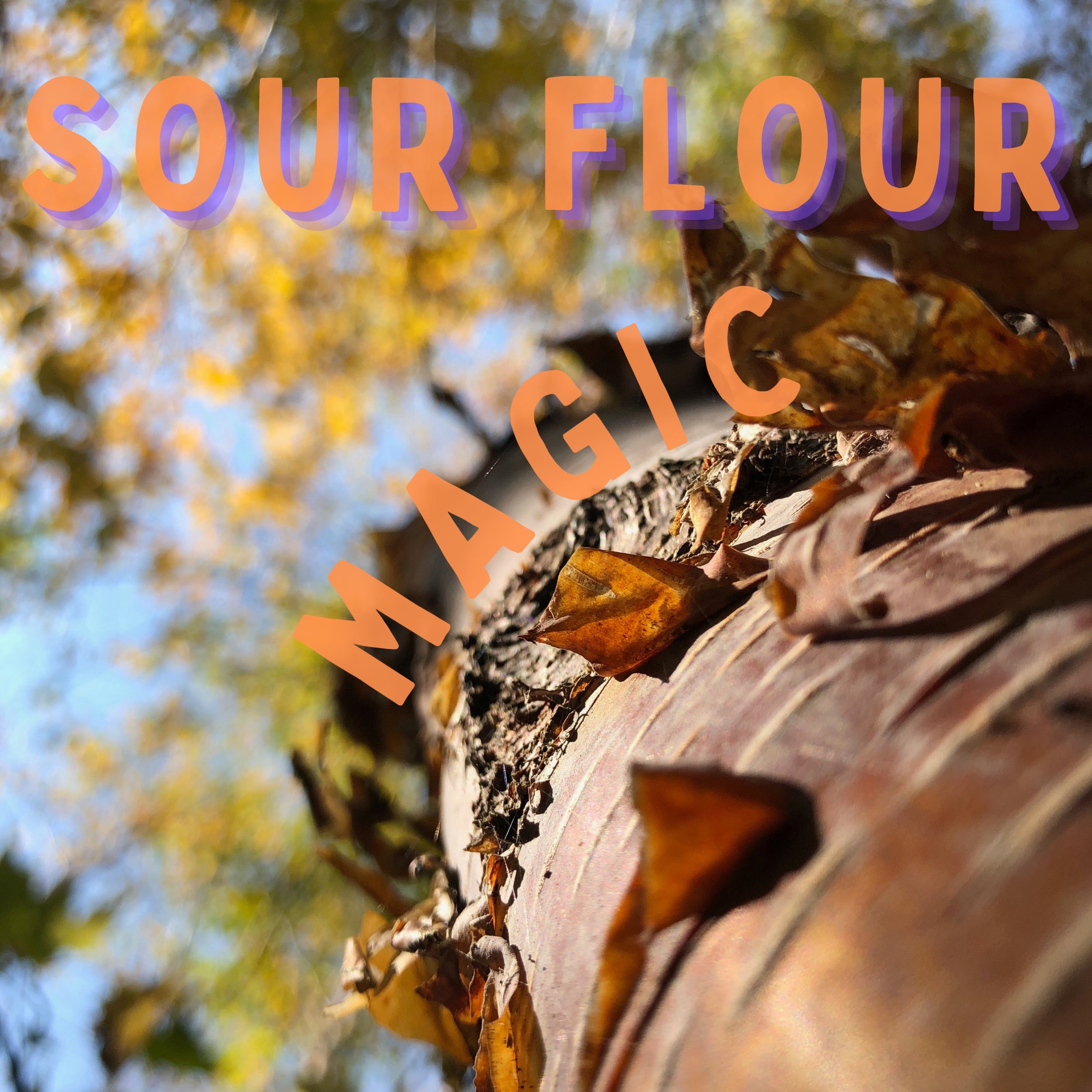 Magic (single) — Singing Land Studio