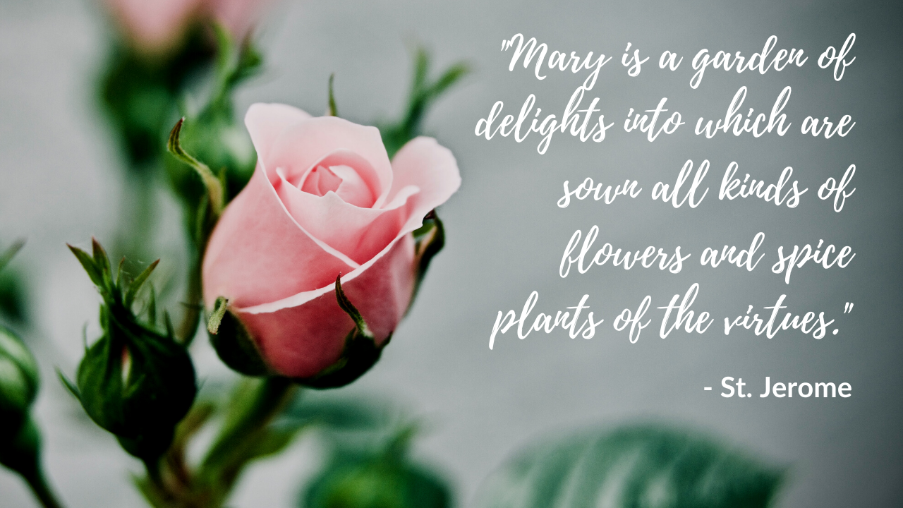 St. Joseph Catholic Parish-- What is a Mary Garden (And Why You Should ...