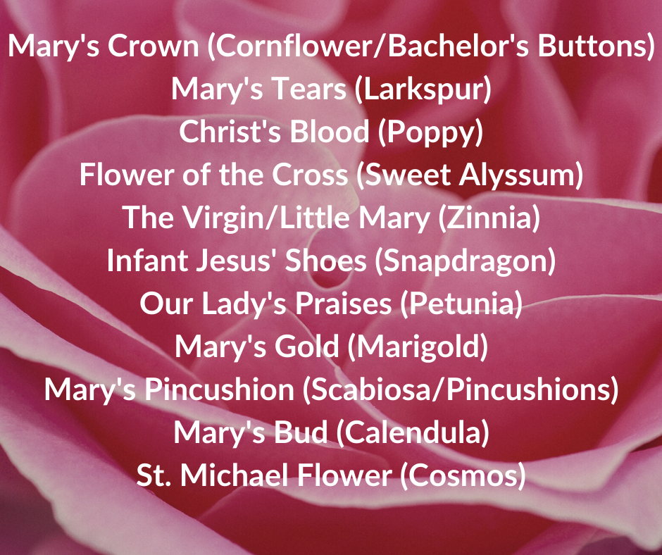 St. Joseph Catholic Parish-- What is a Mary Garden (And Why You Should ...