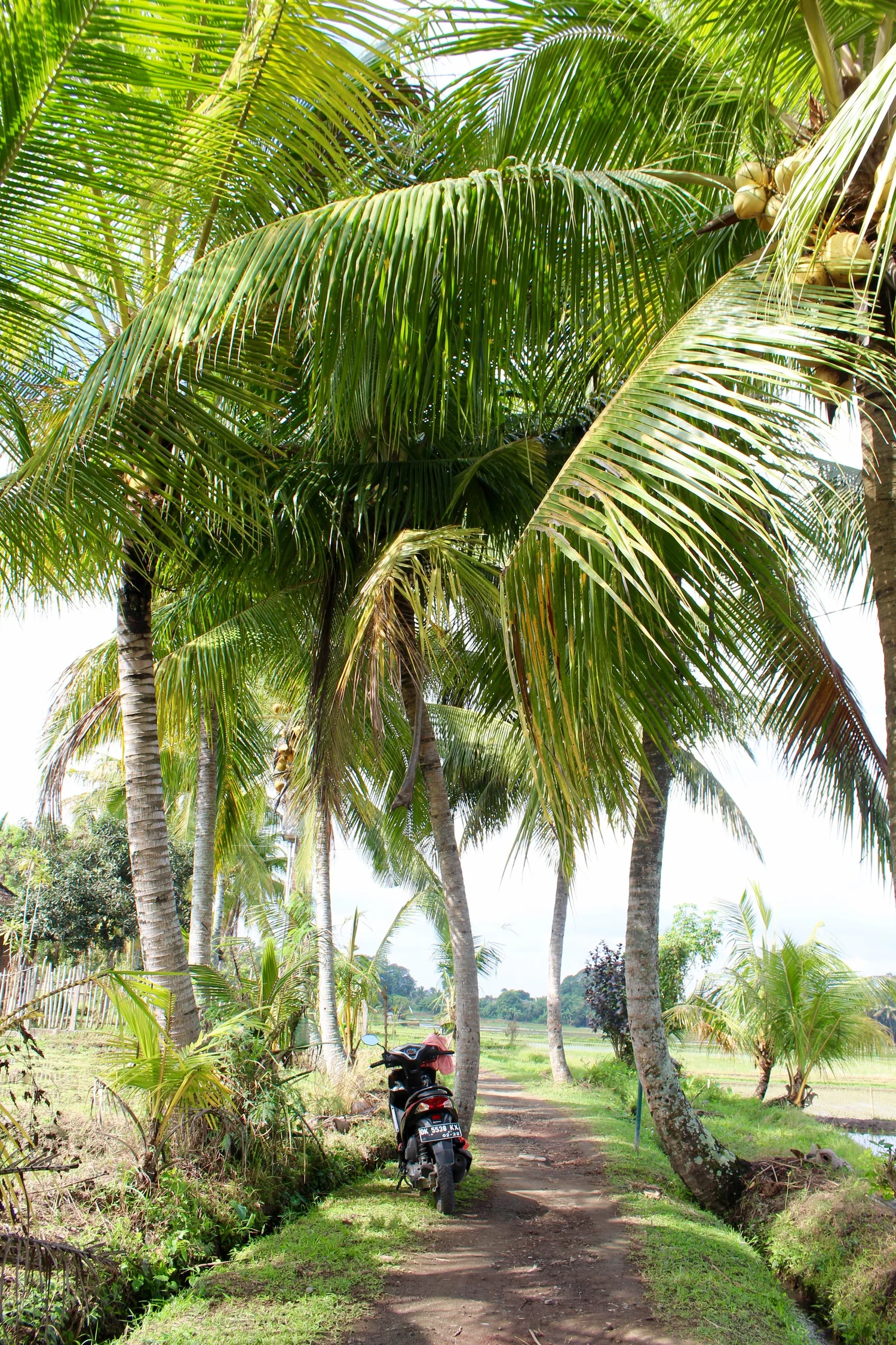 Top 9 Things To Do in Bali, Indonesia — Ellie Faye