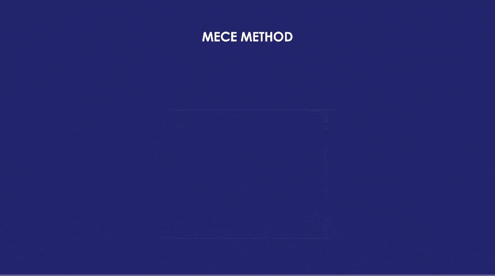 McKinsey MECE Principle Presentation — You Exec