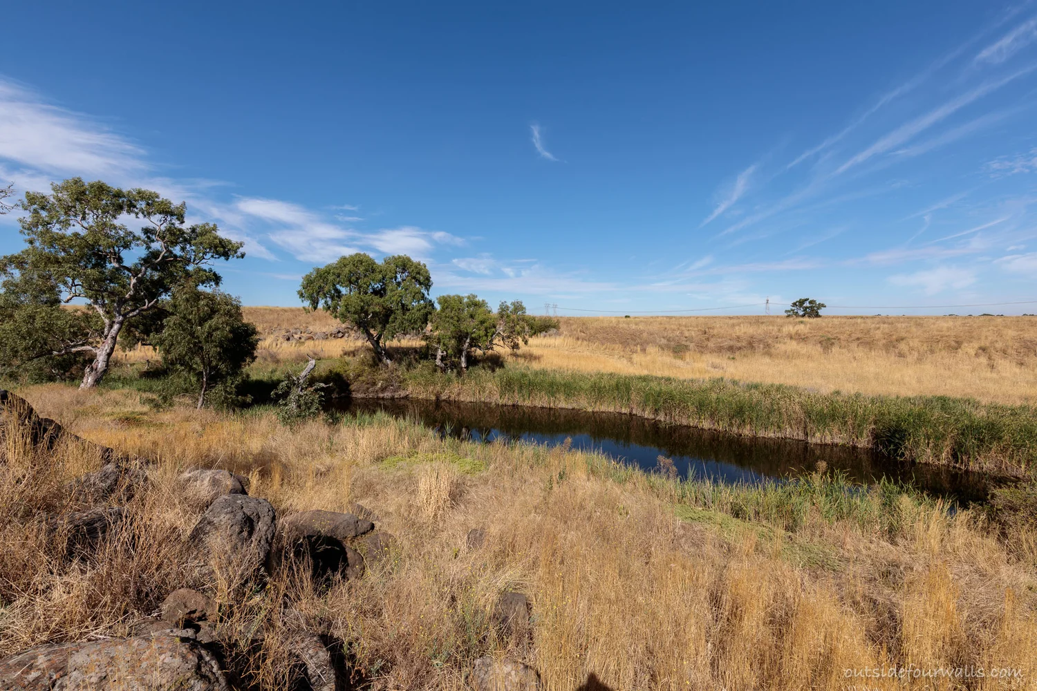 A critically endangered grassland oasis — Outside Four Walls