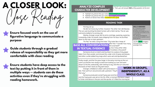 5 Ways to Look at the Magic of Clarisse in your Fahrenheit 451 Unit ...