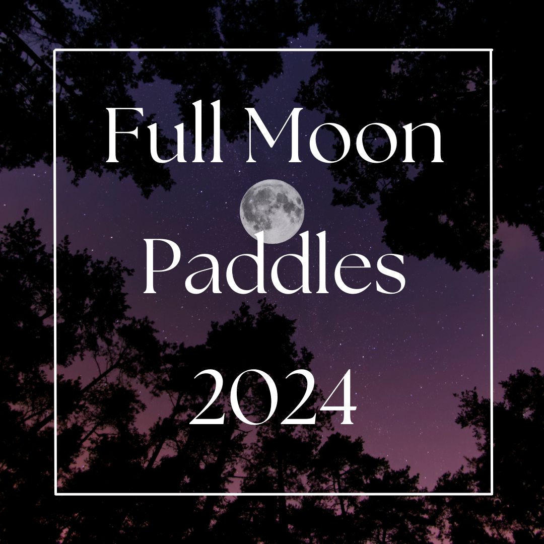 Full Moon Paddles — Forebay Aquatic Center