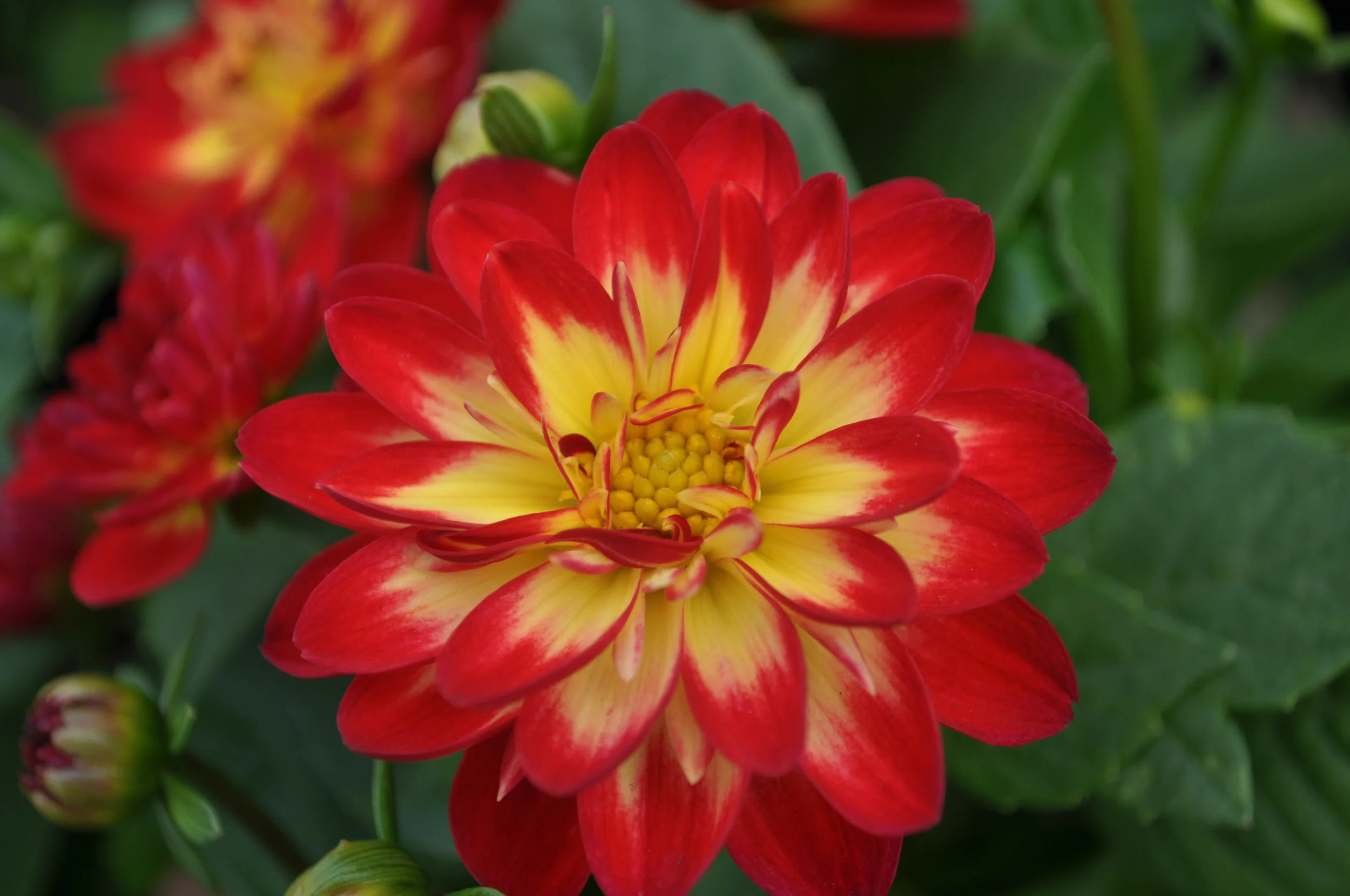 Margie's Farm & Garden