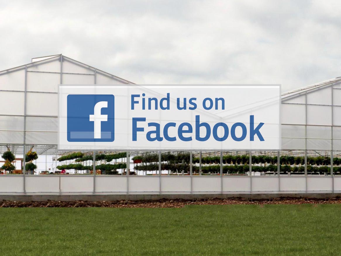 Margie's Farm & Garden