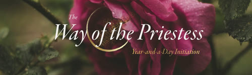 The Spiritual Meaning of Rose: A Symbol of Growth and Evolution on the ...