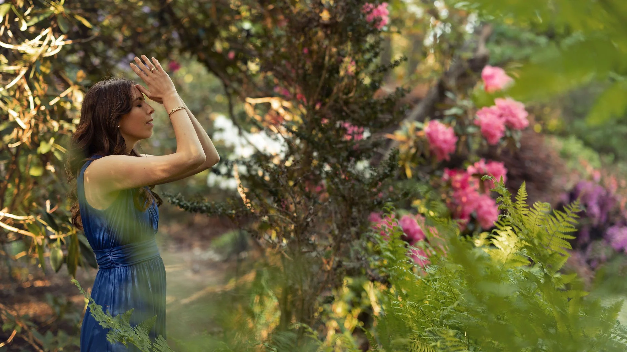 About | Discover Your Path — Meredith Rom