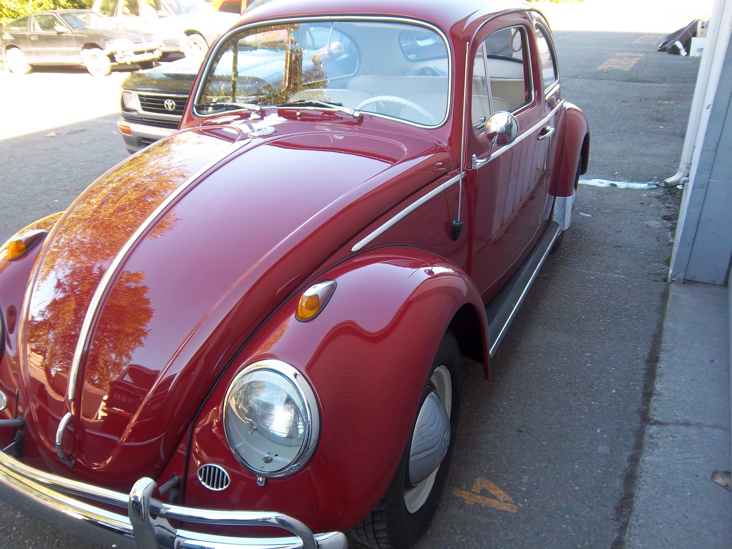 Gallery — Fenders and Fins, Inc