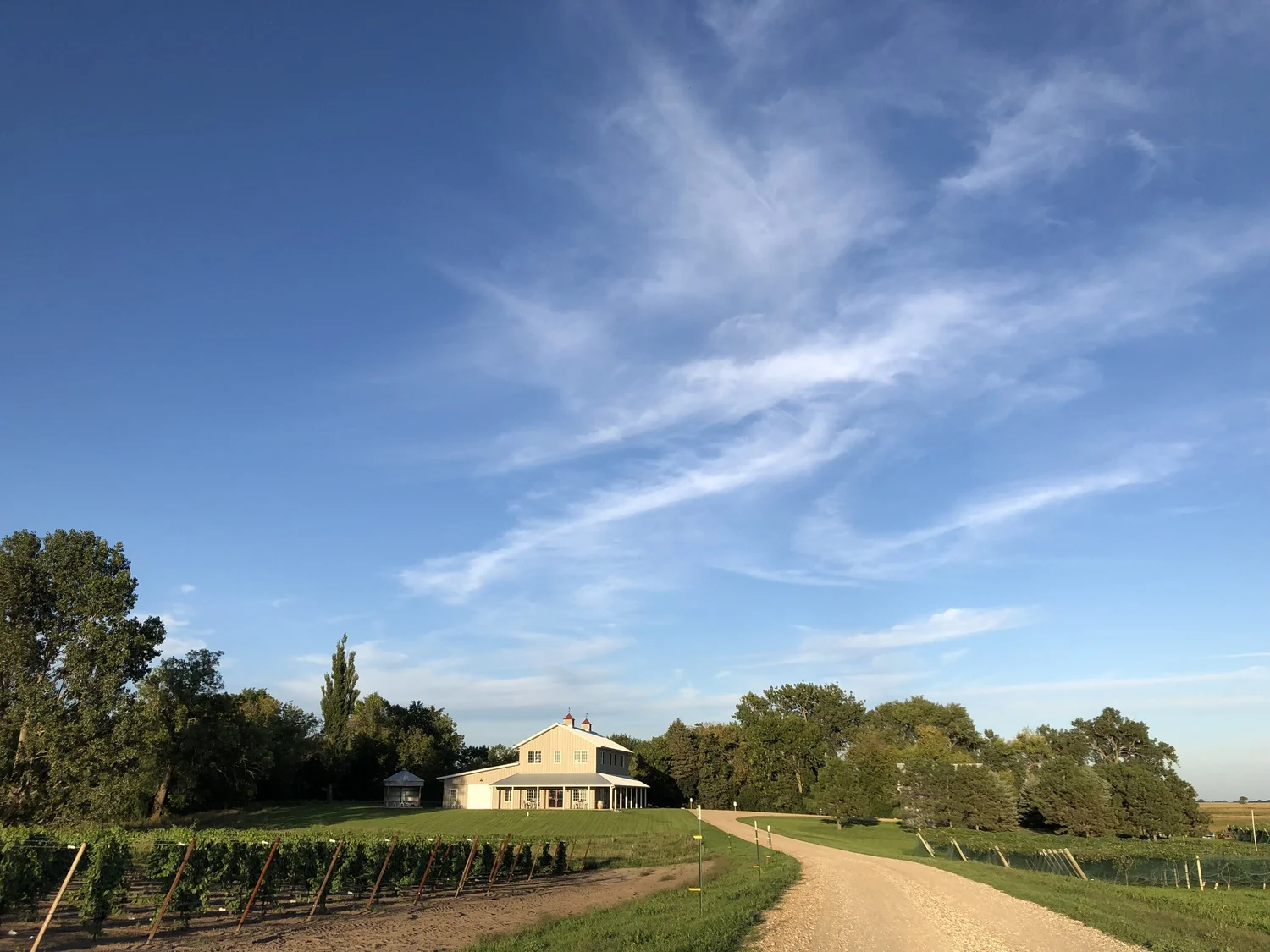 With the Wind Vineyard — With the Wind Vineyard & Winery