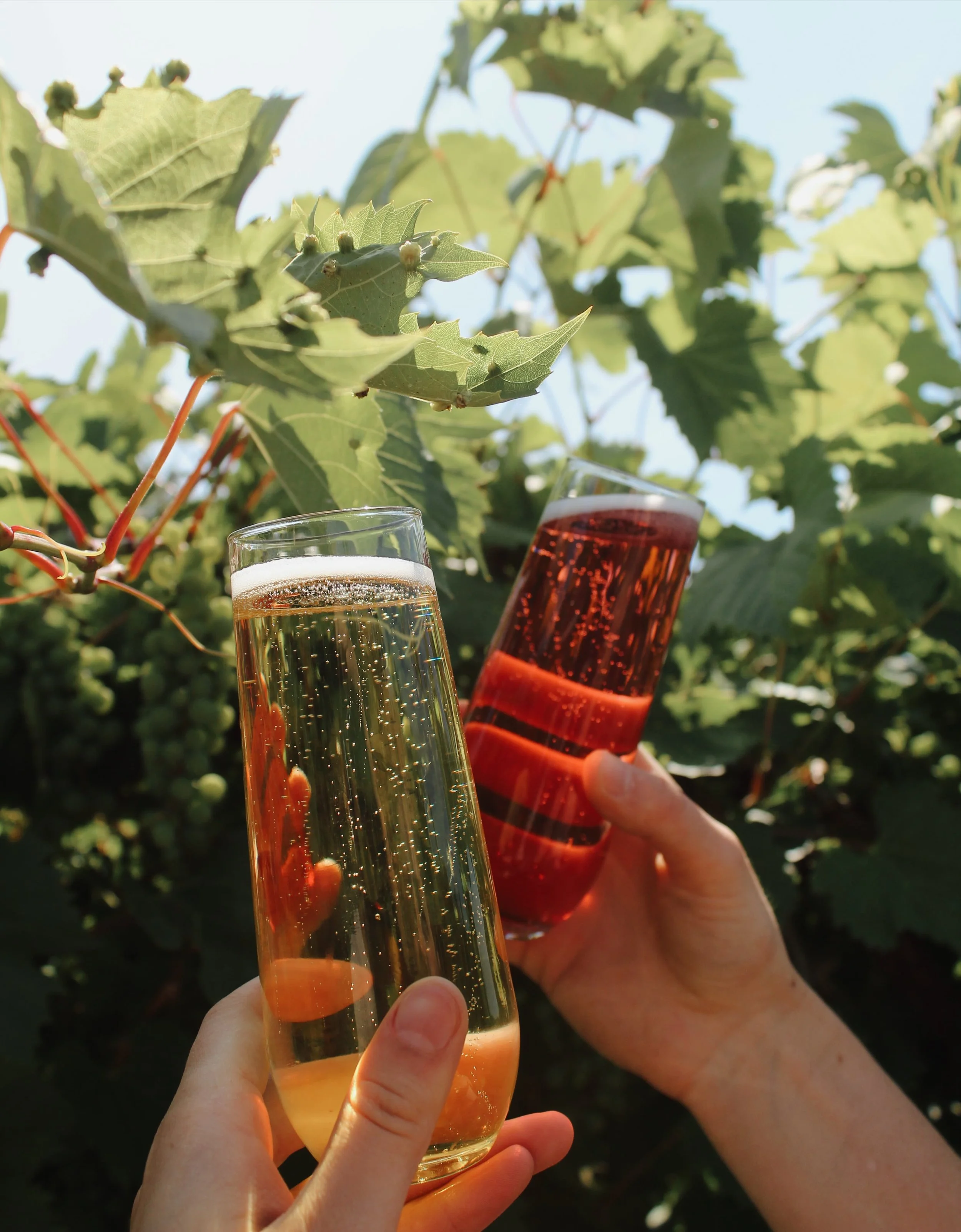 Visit the Tasting Room — With the Wind Vineyard & Winery