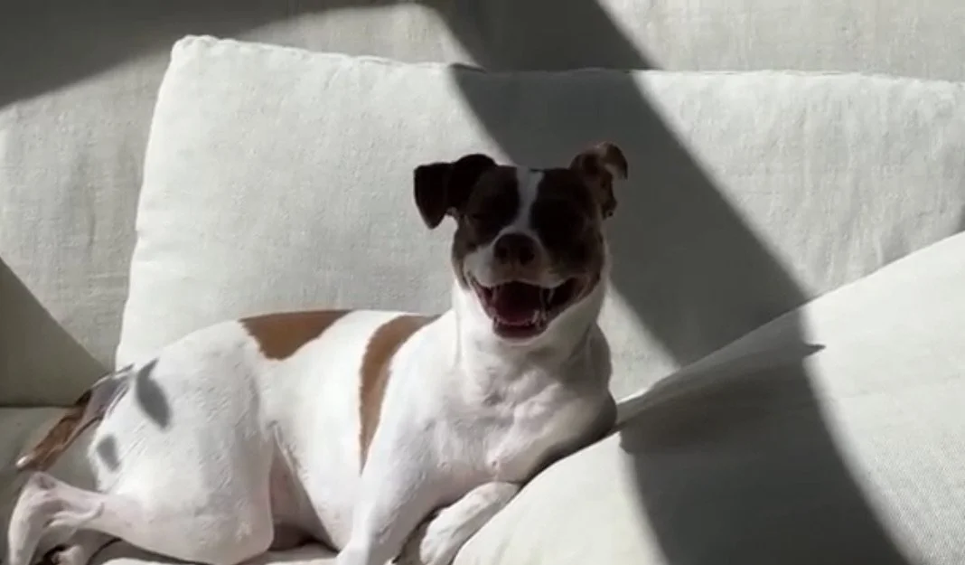 5 Good Vlogs on Living Alone — DNAMAG