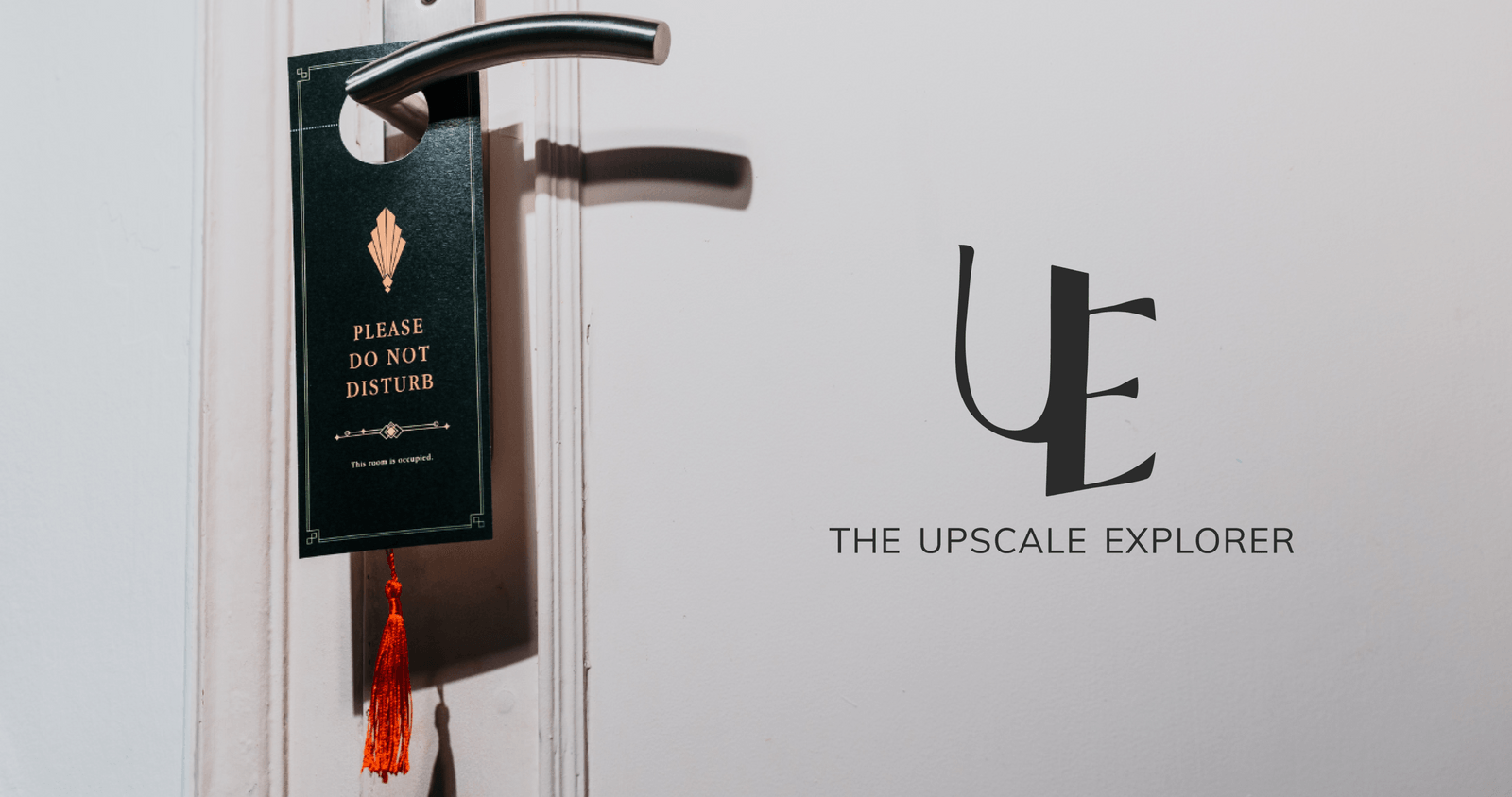 Freelancer For Hire: Jess Nolan/Electric Haze Design — DNAMAG