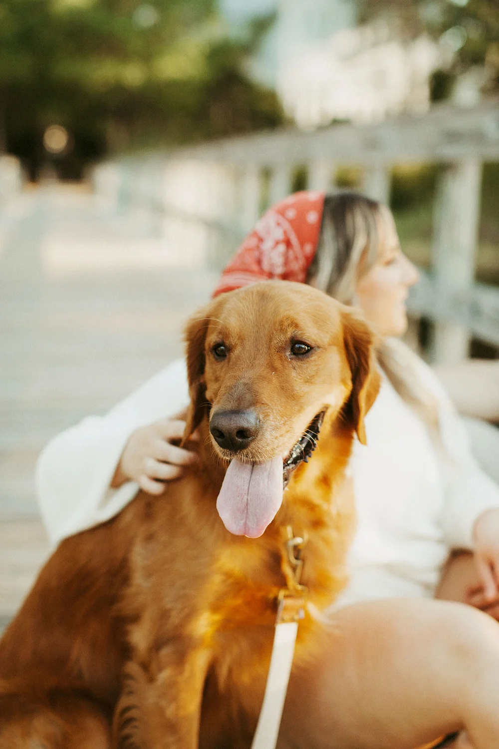 Watercolor + Grayton Beach State Park, 30a || Jarrett + Sidney — Kayla ...
