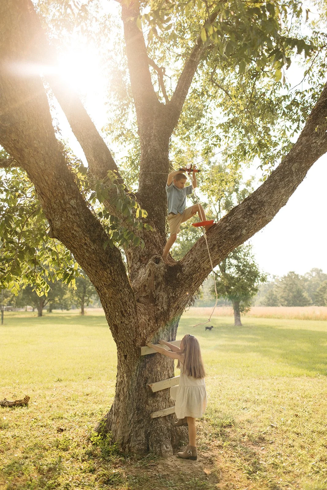 Florala Farm Family Session || The Stringer Family — Kayla Nicole ...