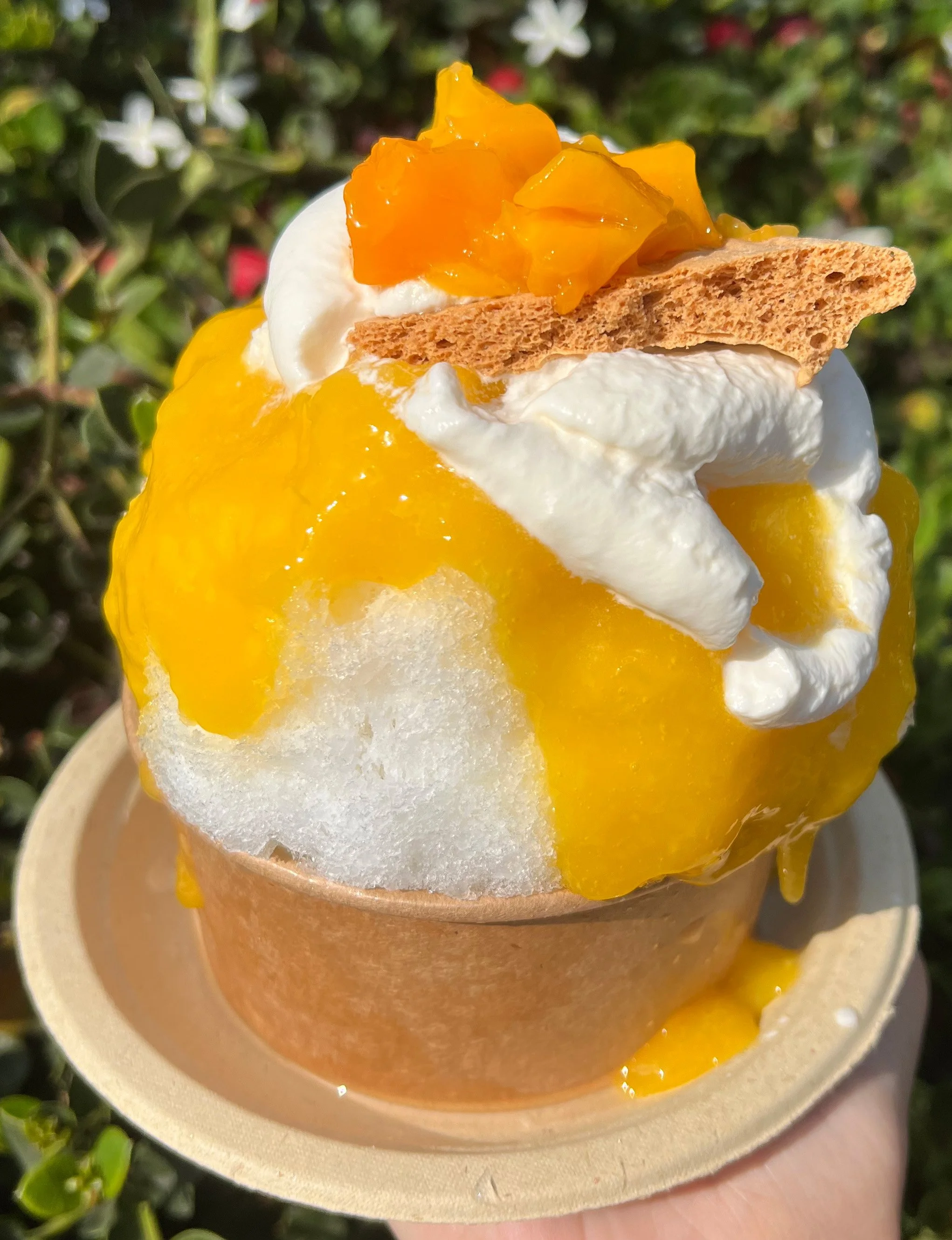 Toro Nagashi Food Vendors — Japanese Friendship Garden