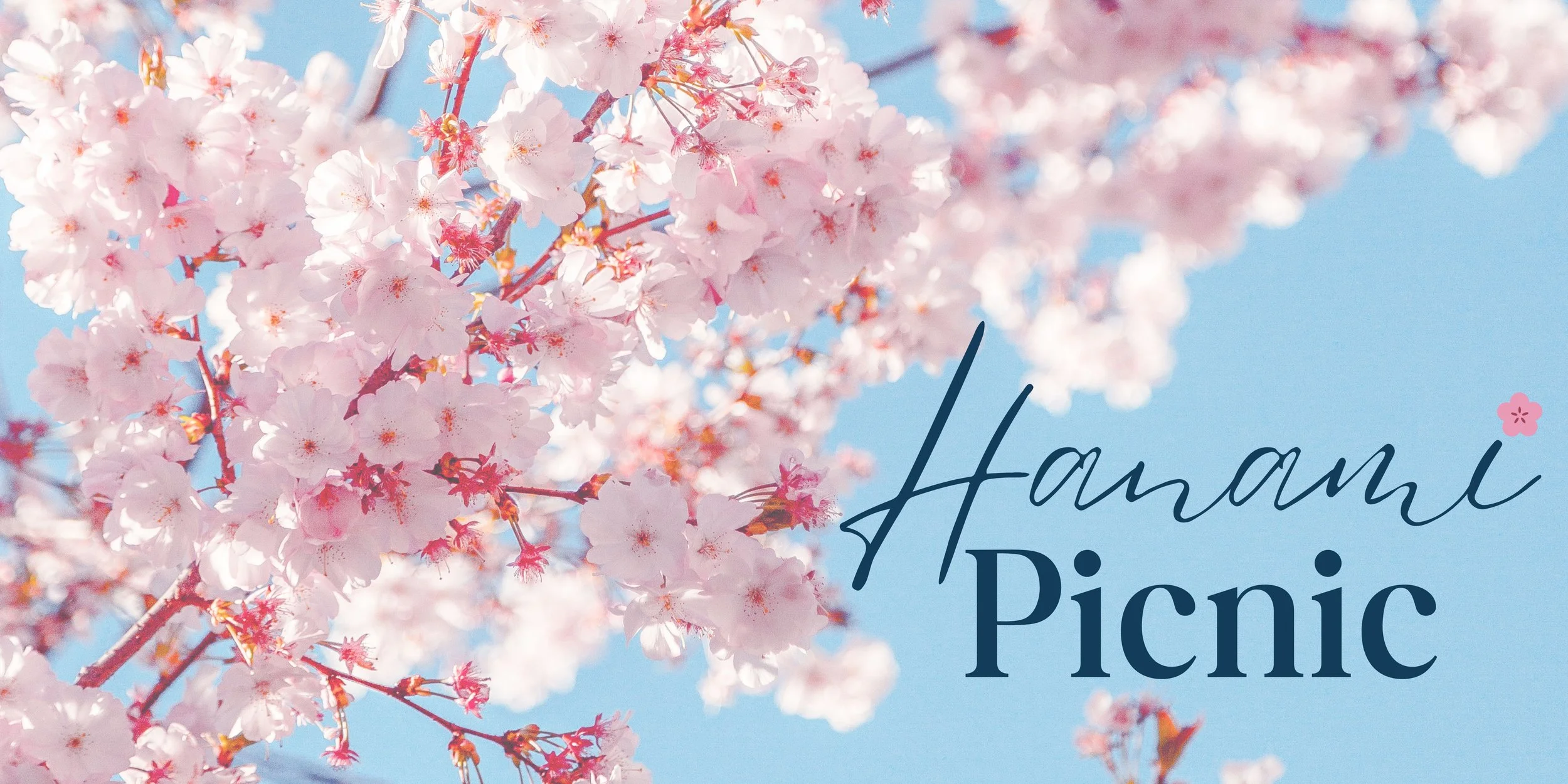 Hanami Picnic — Japanese Friendship Garden