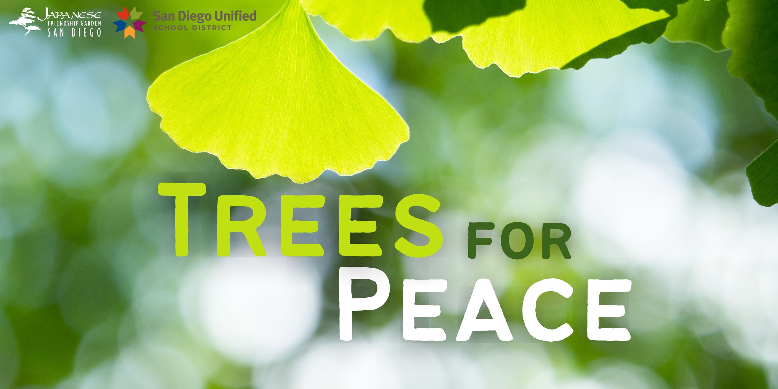 Trees for Peace — Japanese Friendship Garden