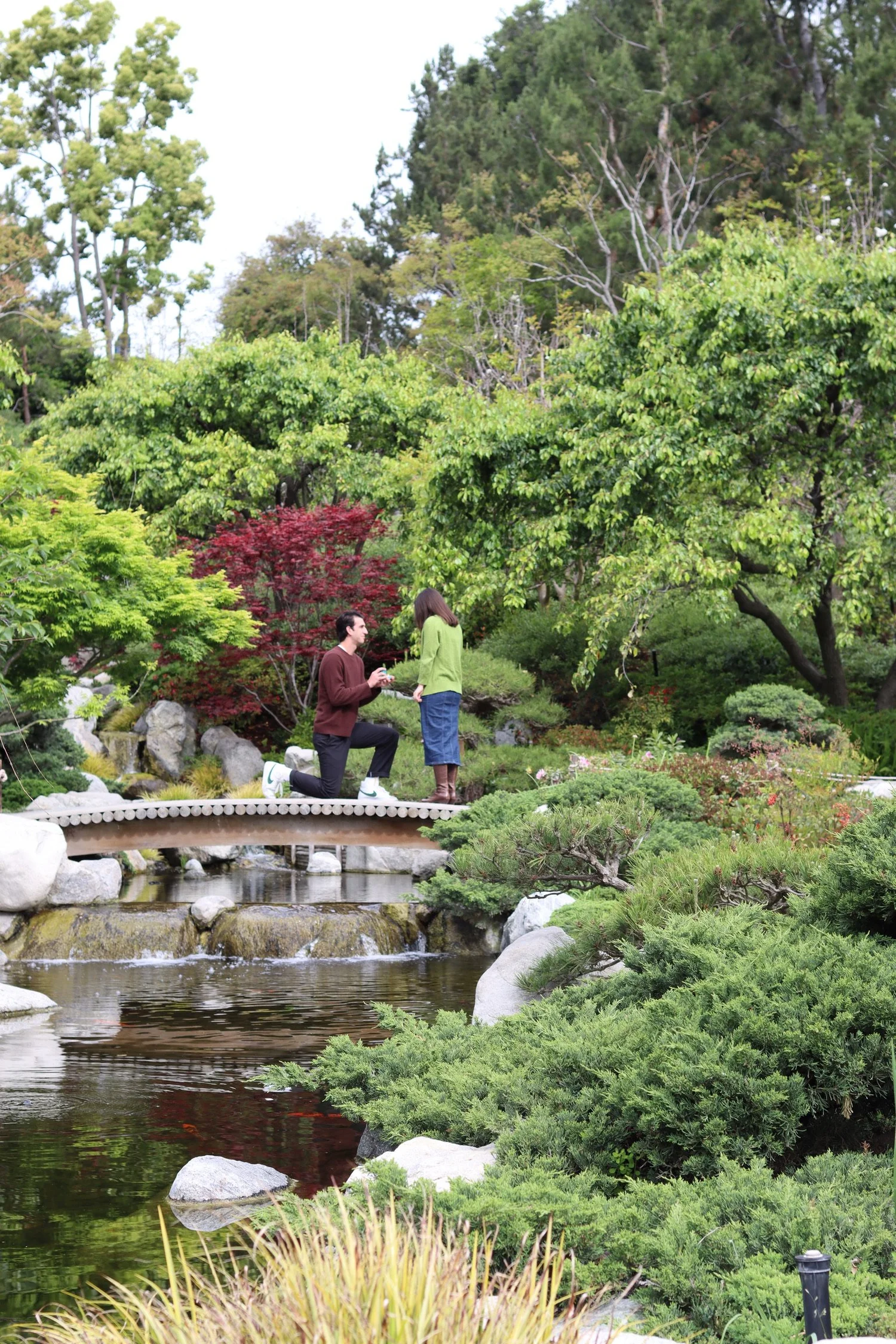 Proposals — Japanese Friendship Garden