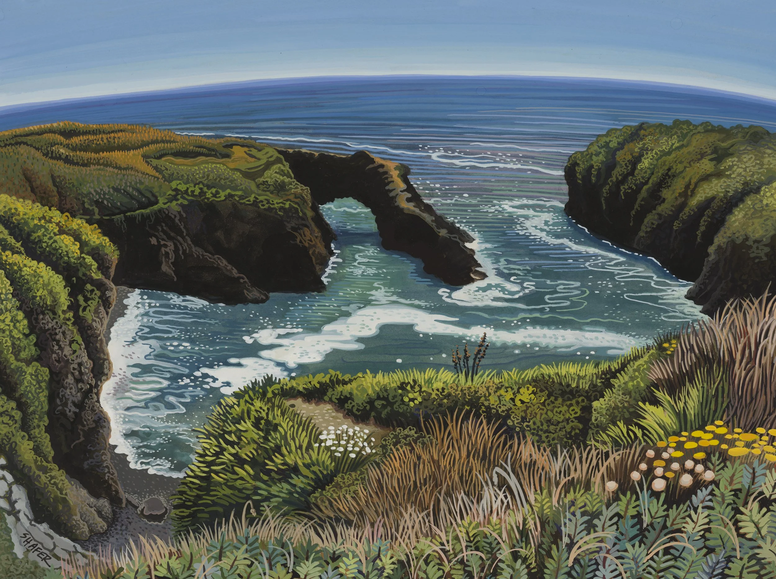 Phyllis Shafer — Maxwell Alexander Gallery