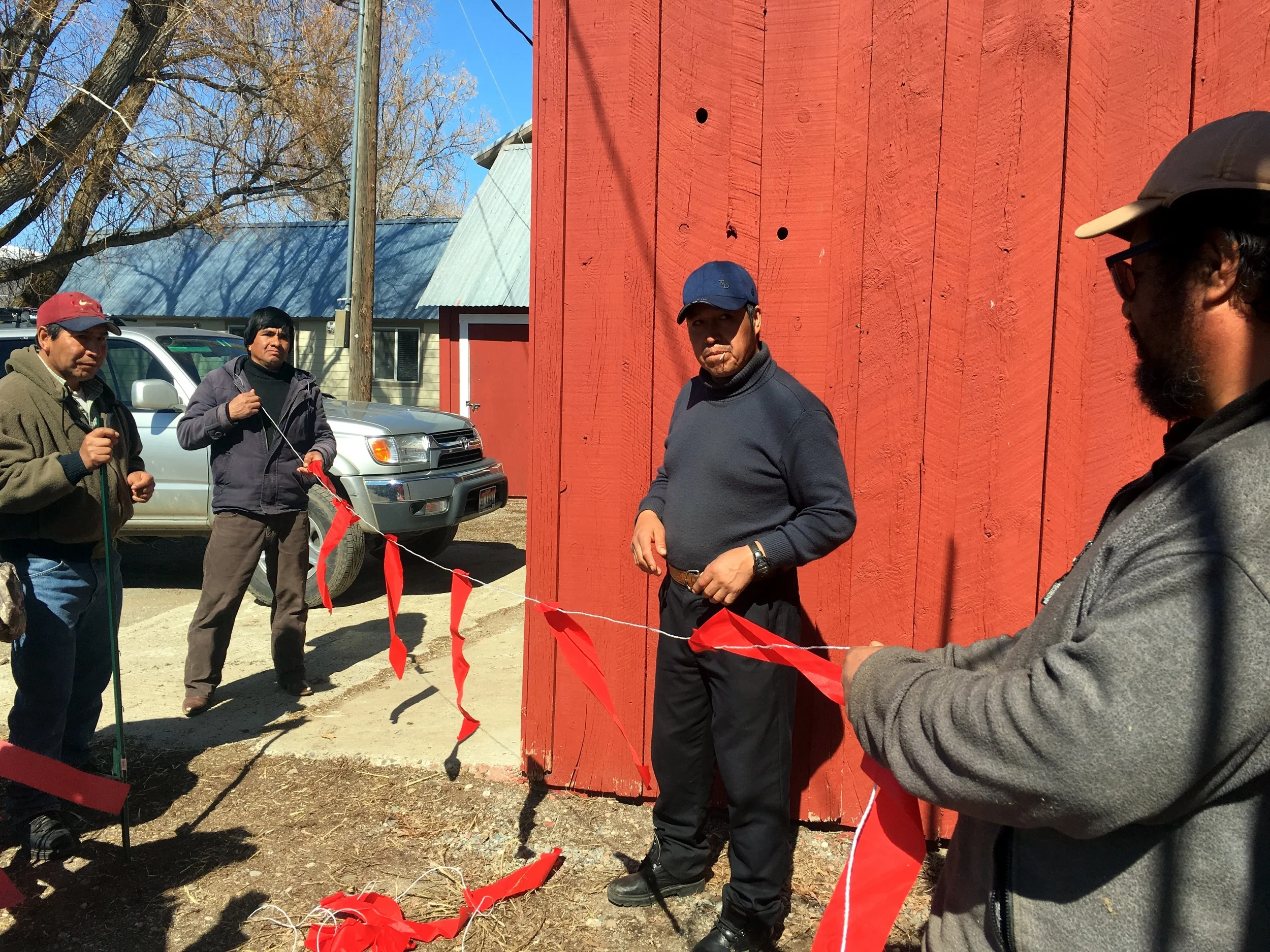 Wood River Wolf Project