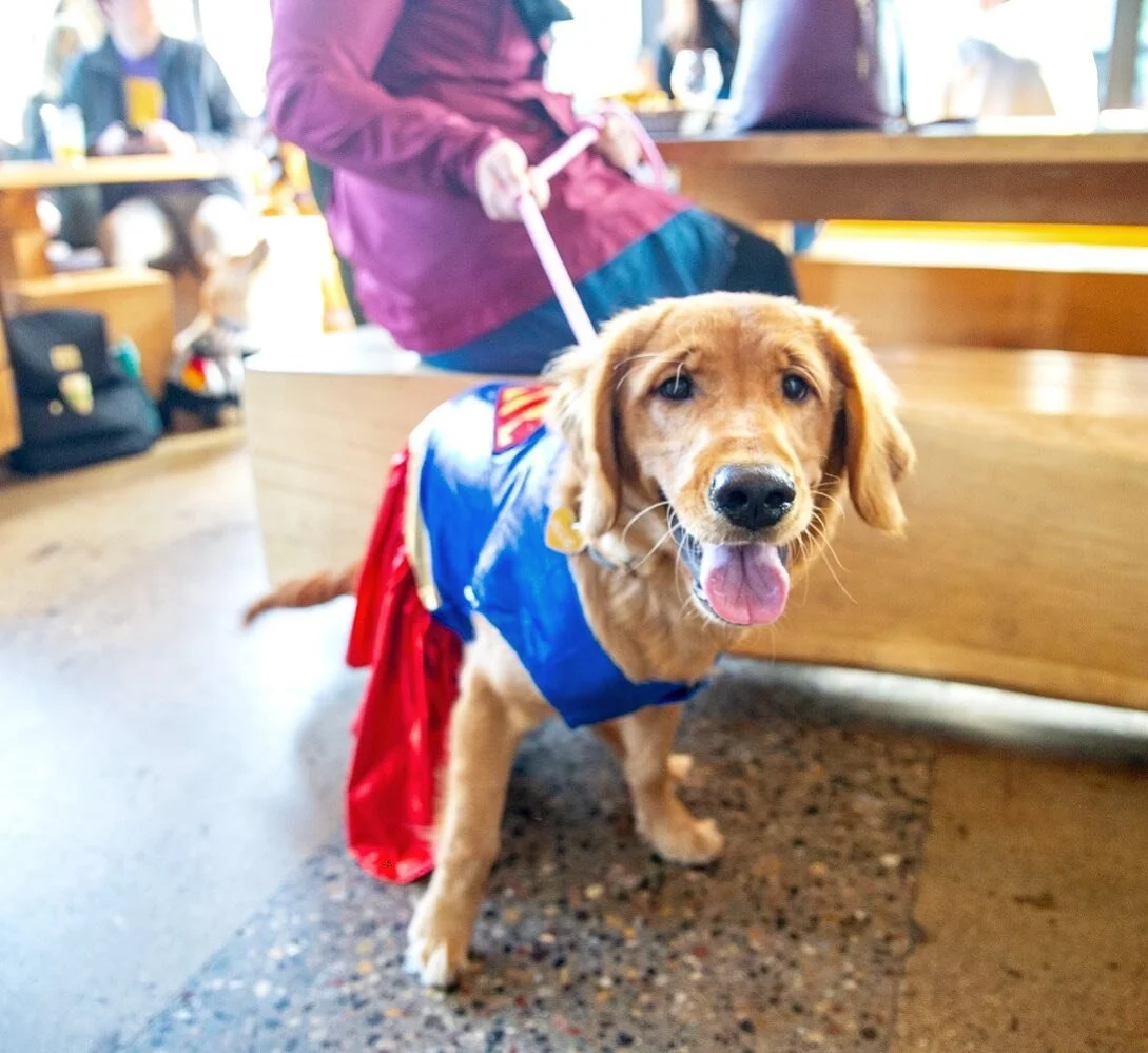 CAREERS - Inbound BrewCo — Inbound BrewCo