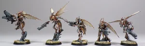 Kill Team - Hivestorm: Painting Up Some Vespid Stingwings (40k ...