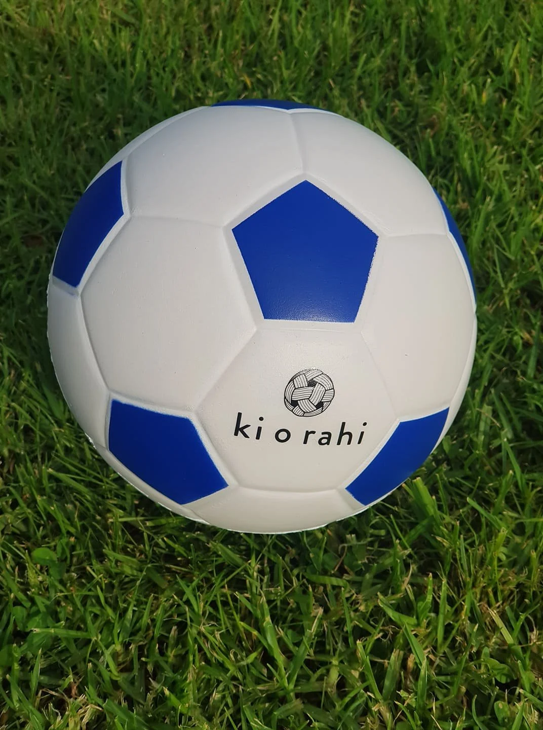 Kī o Rahi - Traditional Māori Game