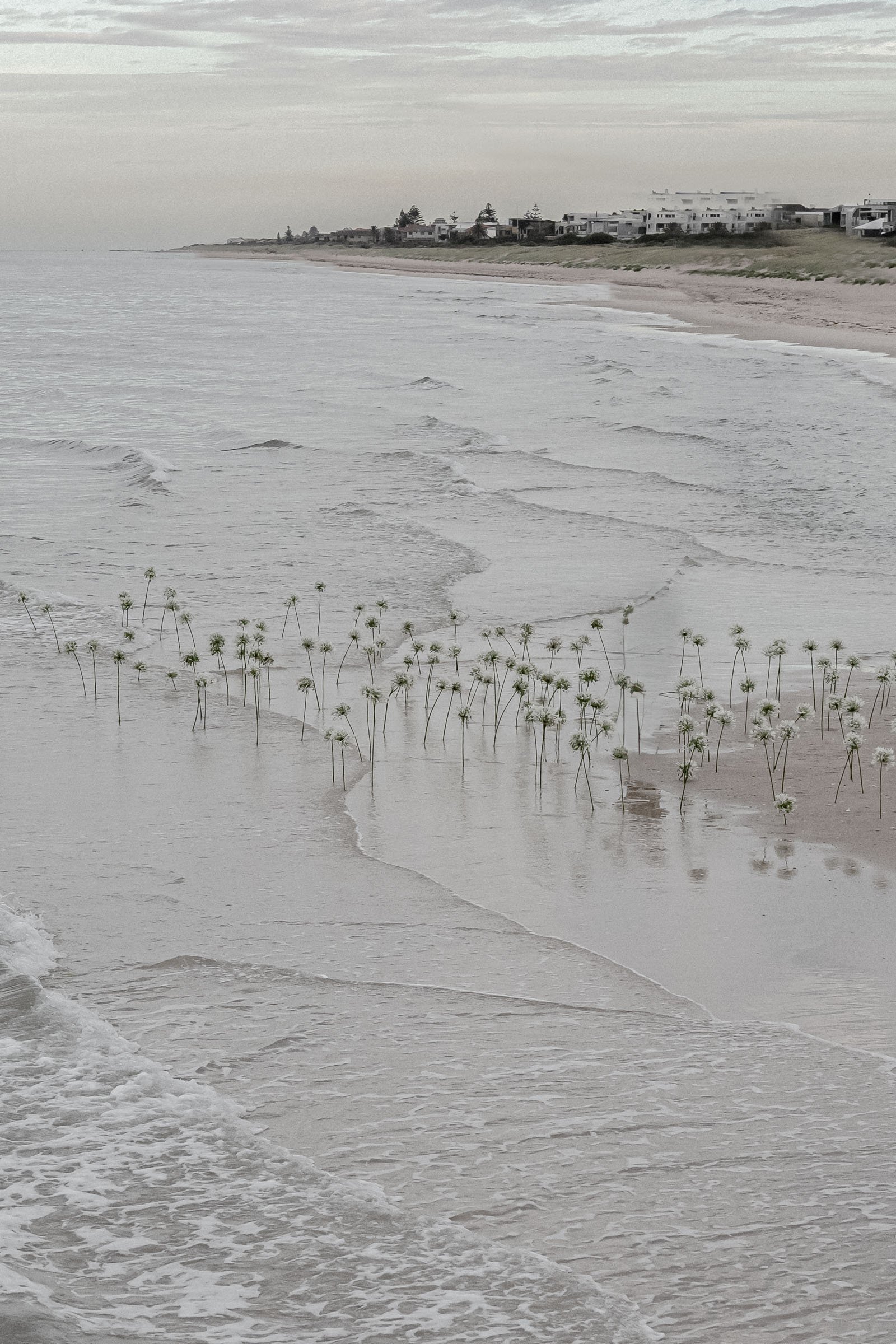 Ethos — HYGGE STUDIO