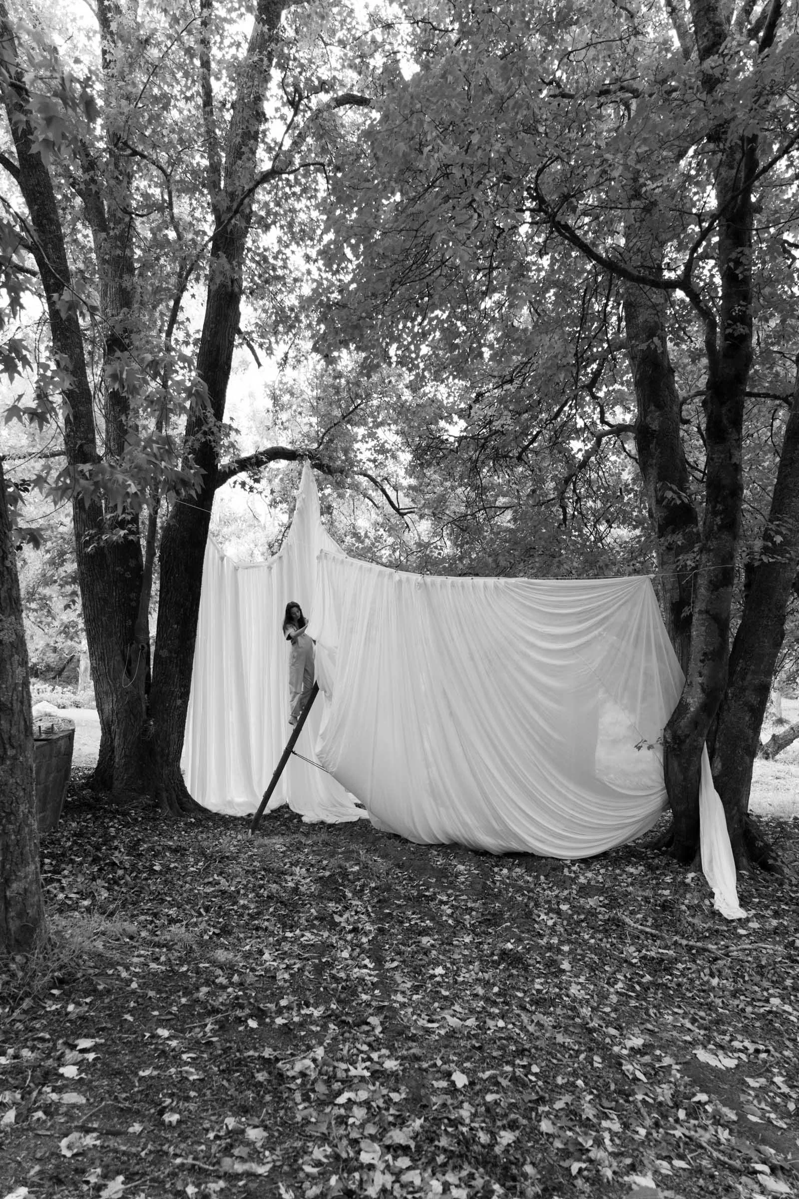 Ethos — HYGGE STUDIO