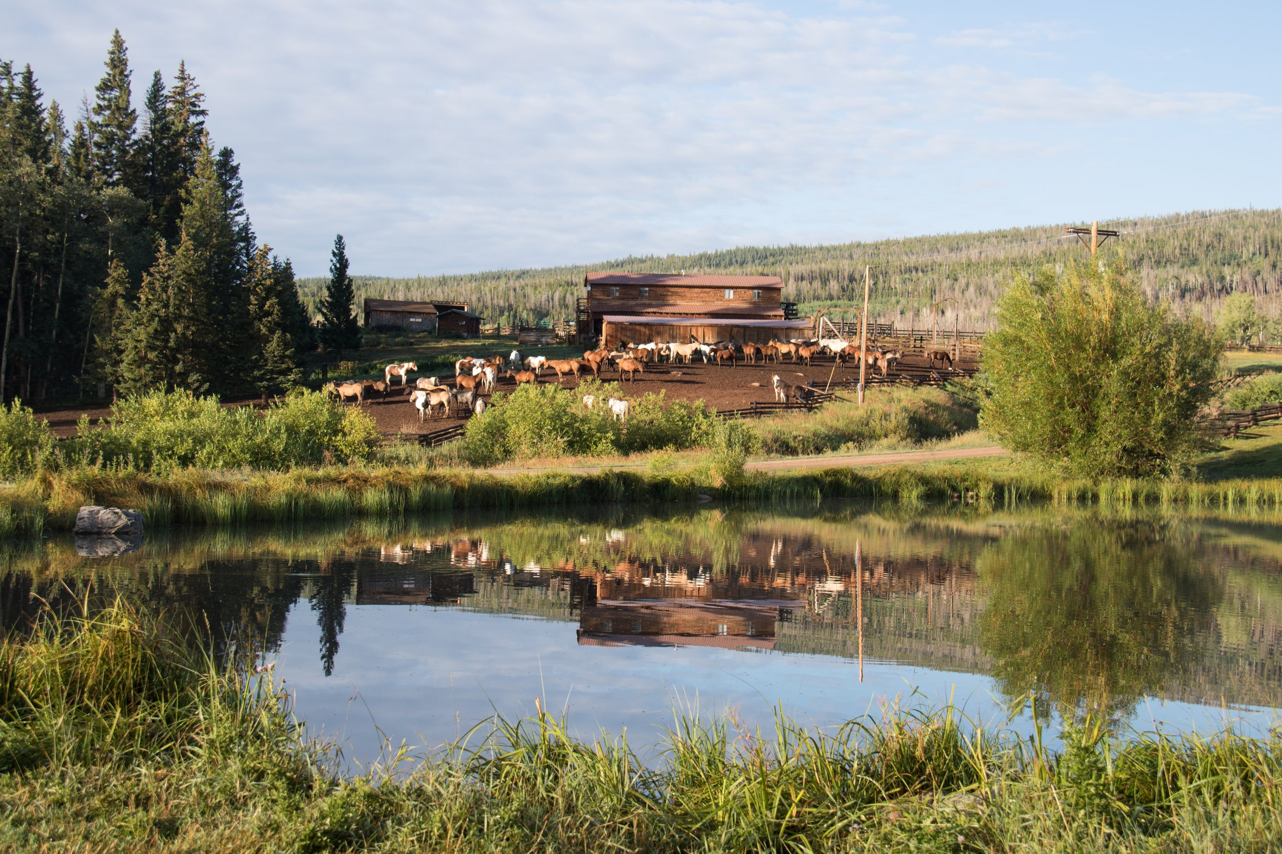 Latigo Guest Ranch, Colorado USA — Top with kids