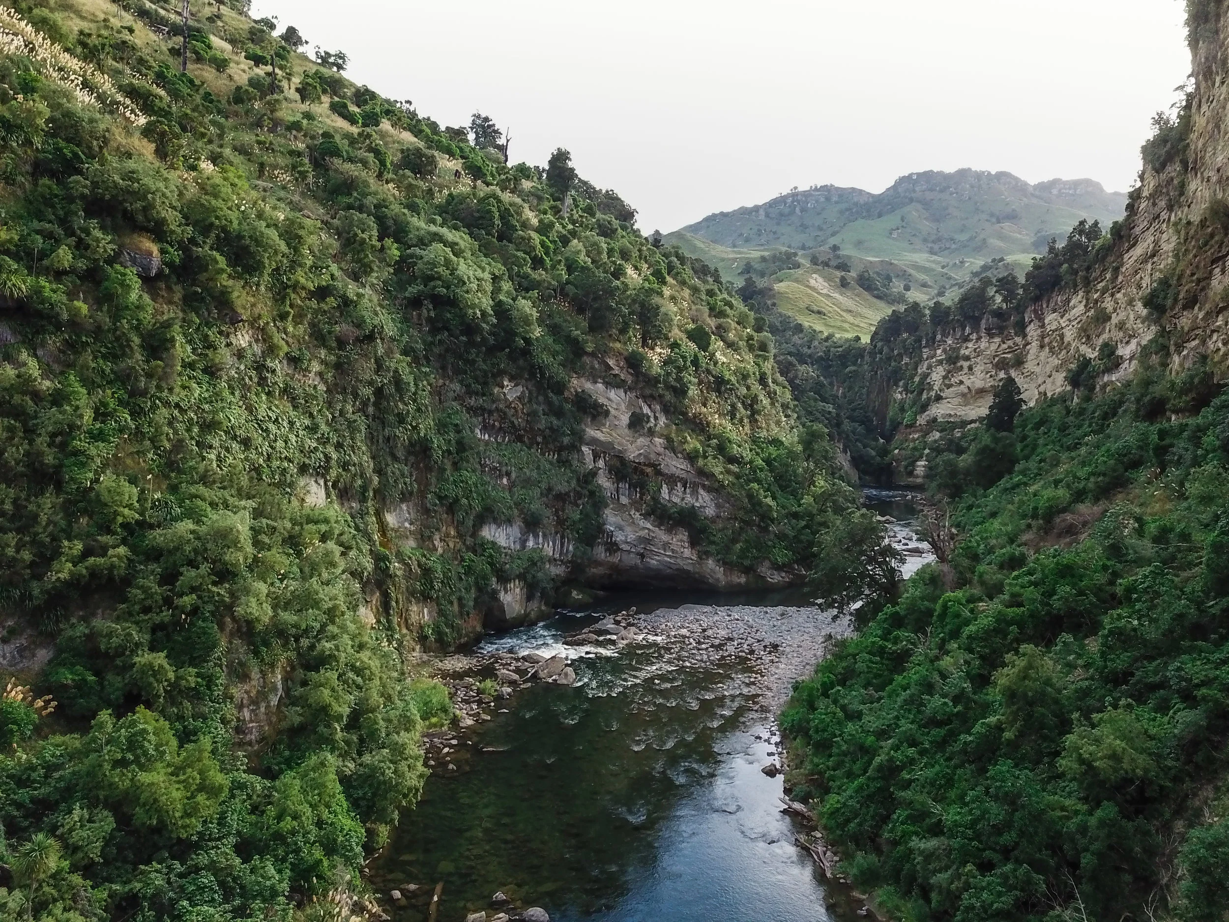 River Valley, New Zealand — Top with kids