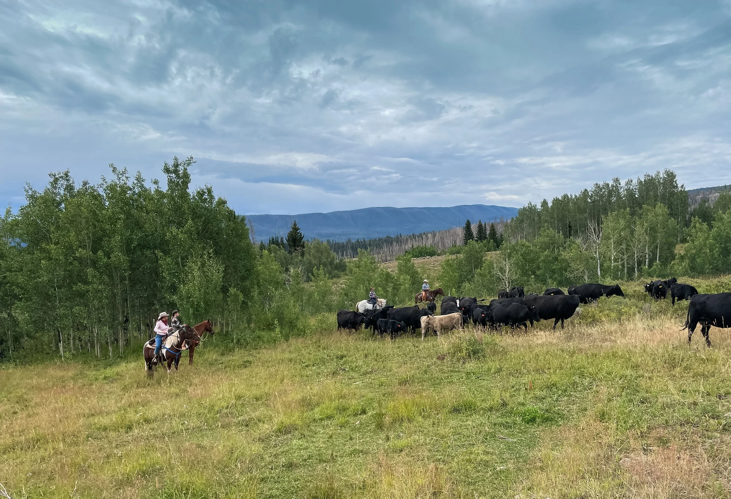 Latigo Guest Ranch, Colorado USA — Top with kids